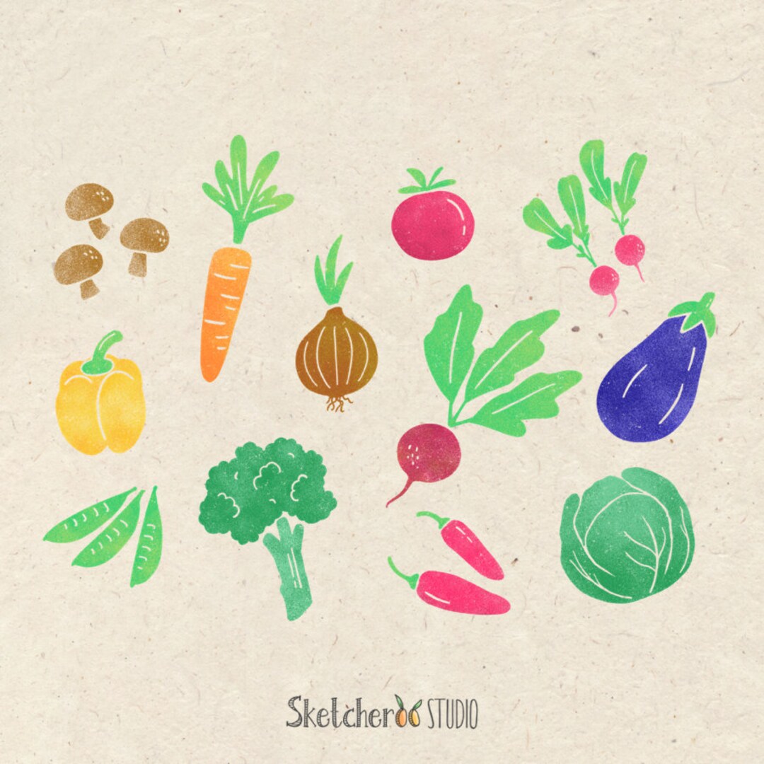 Coloured Stamp-style Vegetable Clipart • 12 Hand Drawn Digital Images ...