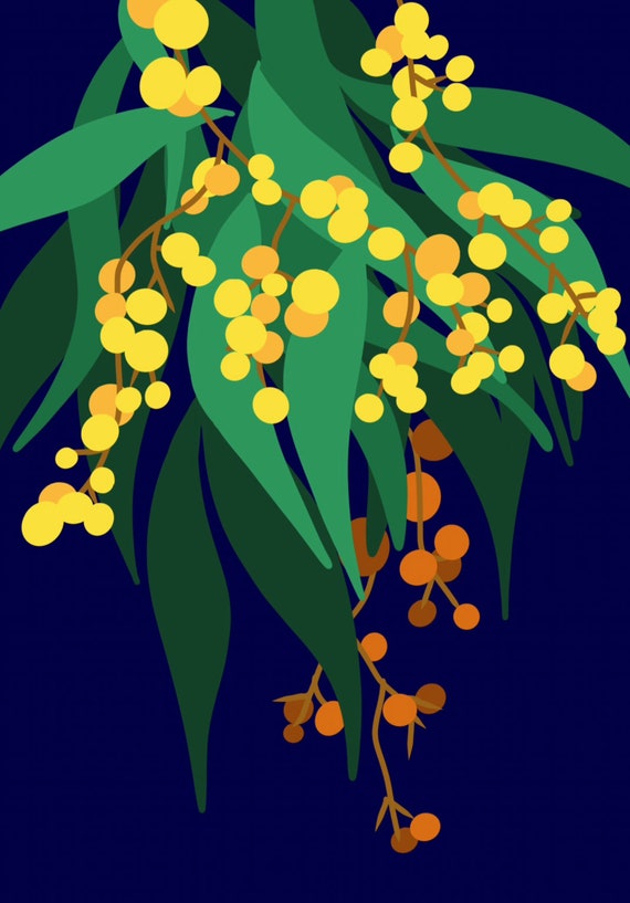 Wattle Digital Art Print Download A4 A3 | Etsy