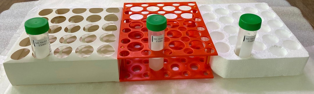 Tube Racks for 25 Tubes (on Average) - Etsy