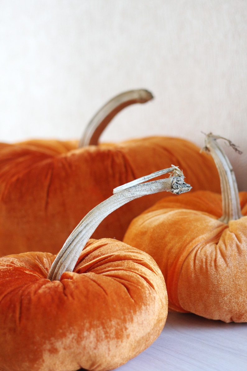 Set of 3 Largest Velvet Pumpkins With Real Stems | Etsy