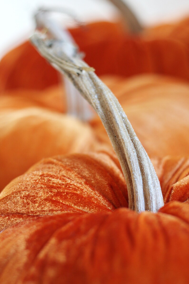 Set of 3 Largest Velvet Pumpkins With Real Stems | Etsy