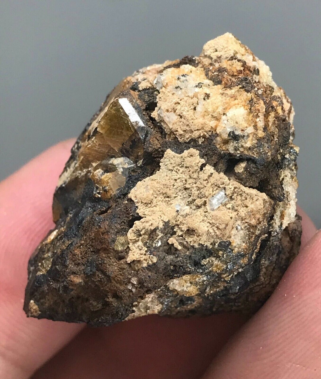 RARE Xenotime Crystal on Matrix Rare Earth Xenotime Gemstone on Matrix ...