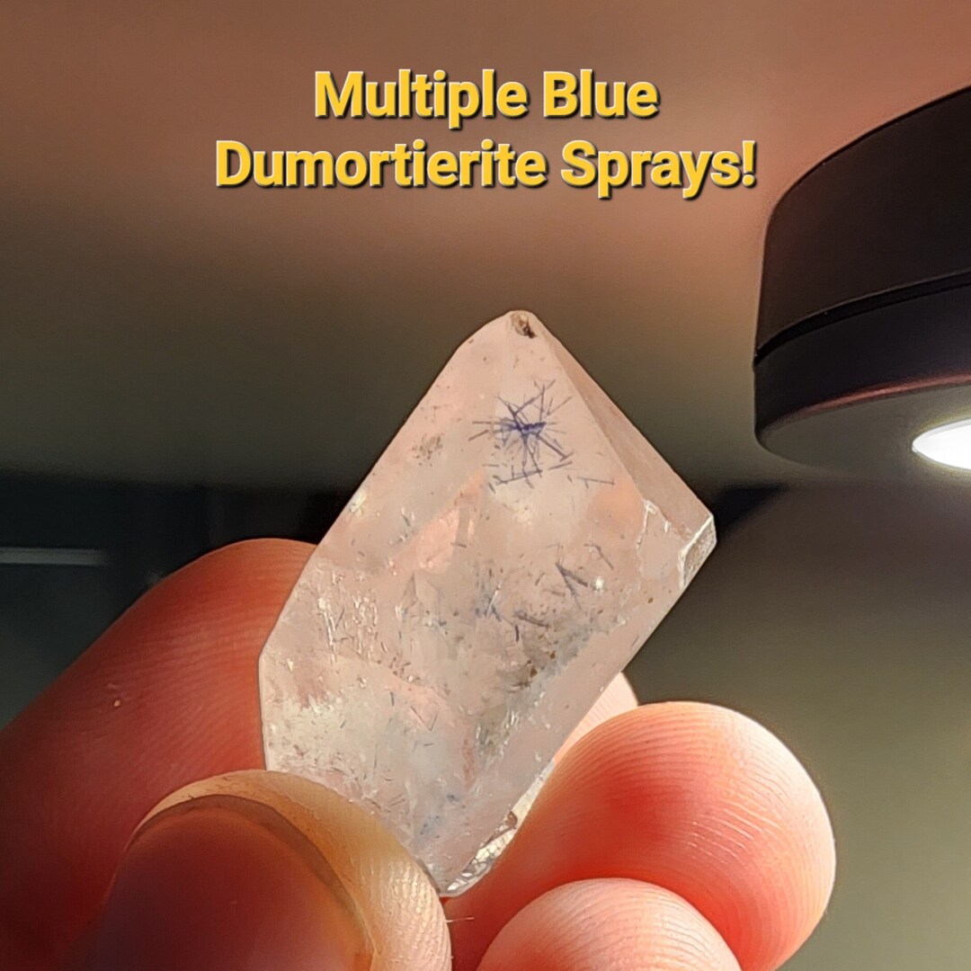 DOUBLE Terminated World Class Dumortierite Crystal Dumortierite Quartz ...