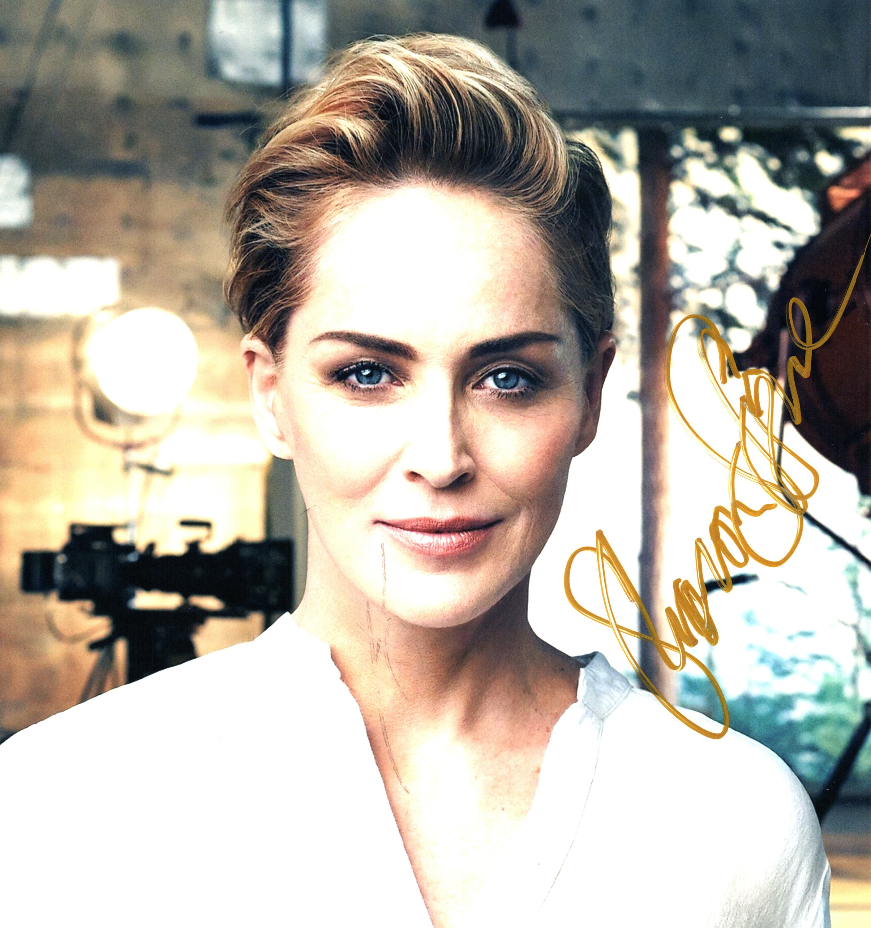 Sharon Stone Autograph - Etsy