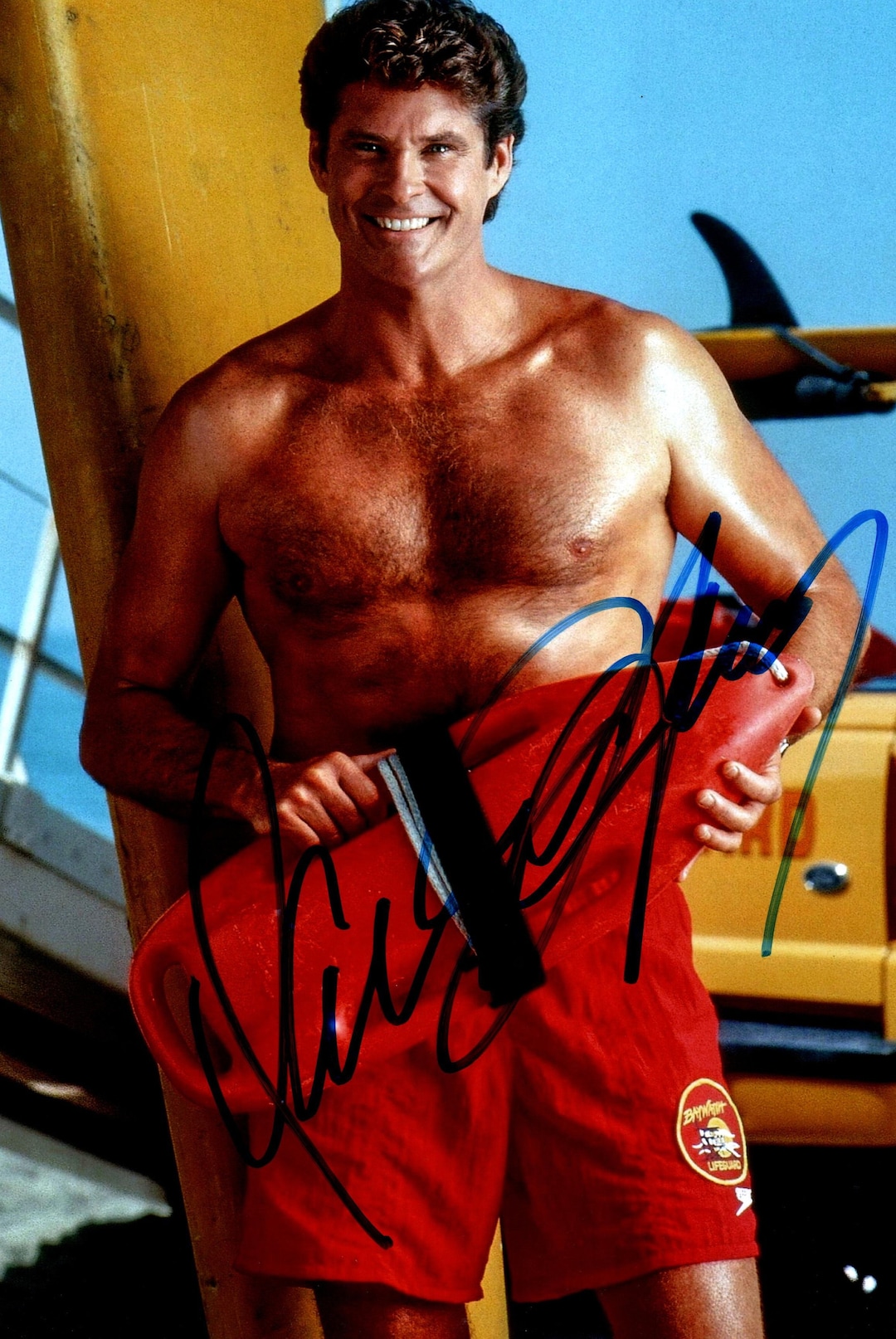 David Hasselhoff Speedo