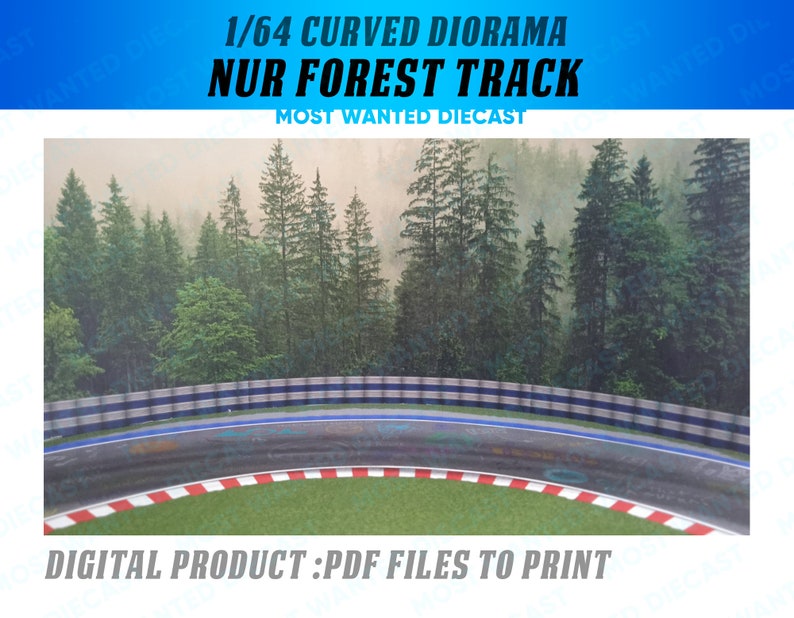Nur Forest Track Curved Diorama Digital Files - Etsy