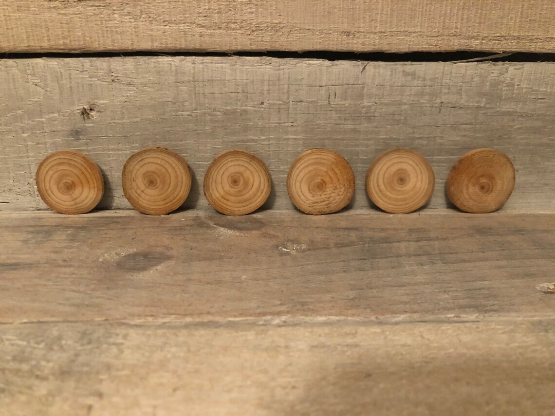 Wood Round Magnets Nature Magnets Log Round Magnets Raw Wood Slice Mini ...