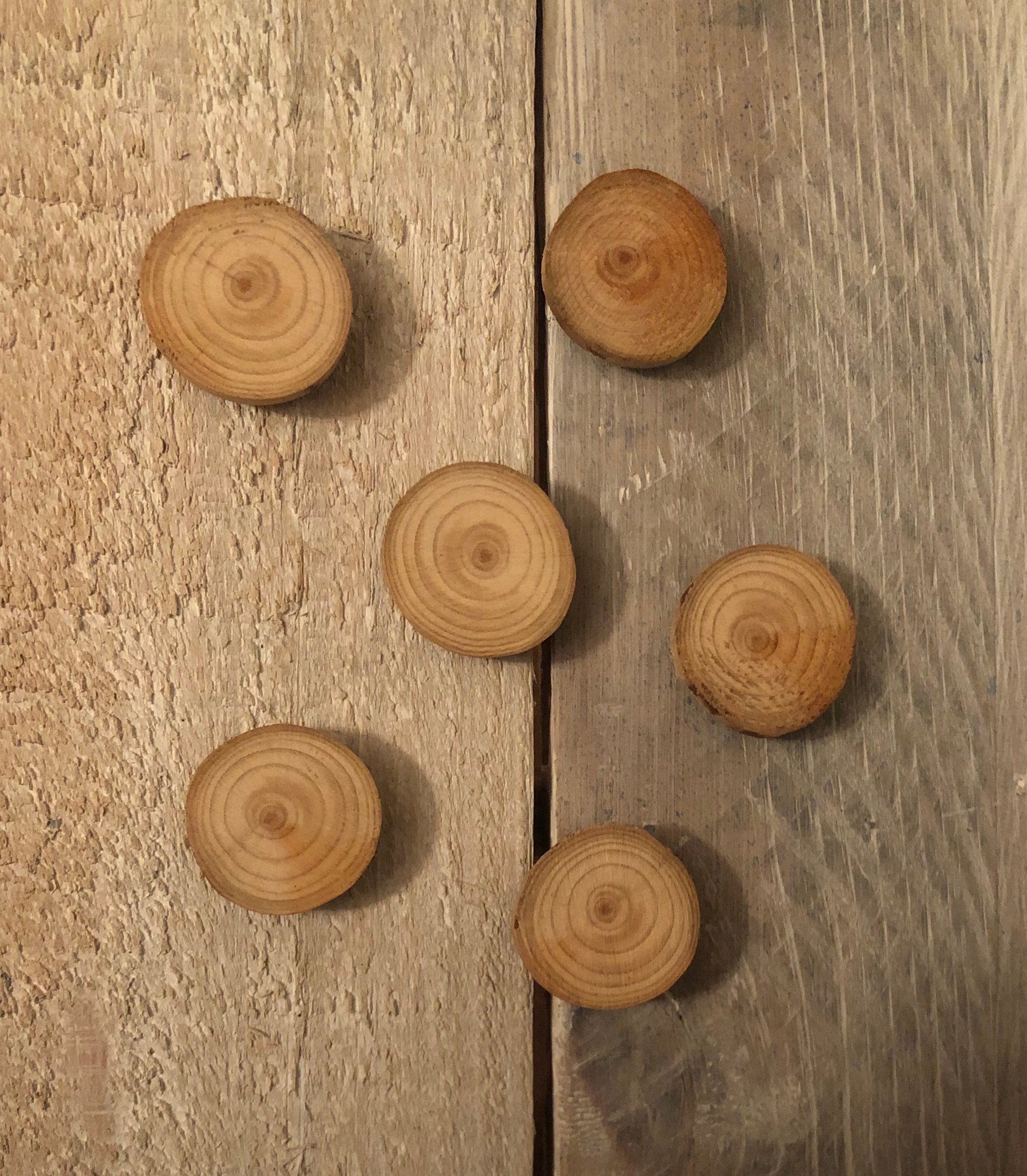 Wood Round Magnets | Nature Magnets | Log Round Magnets | Raw Wood ...