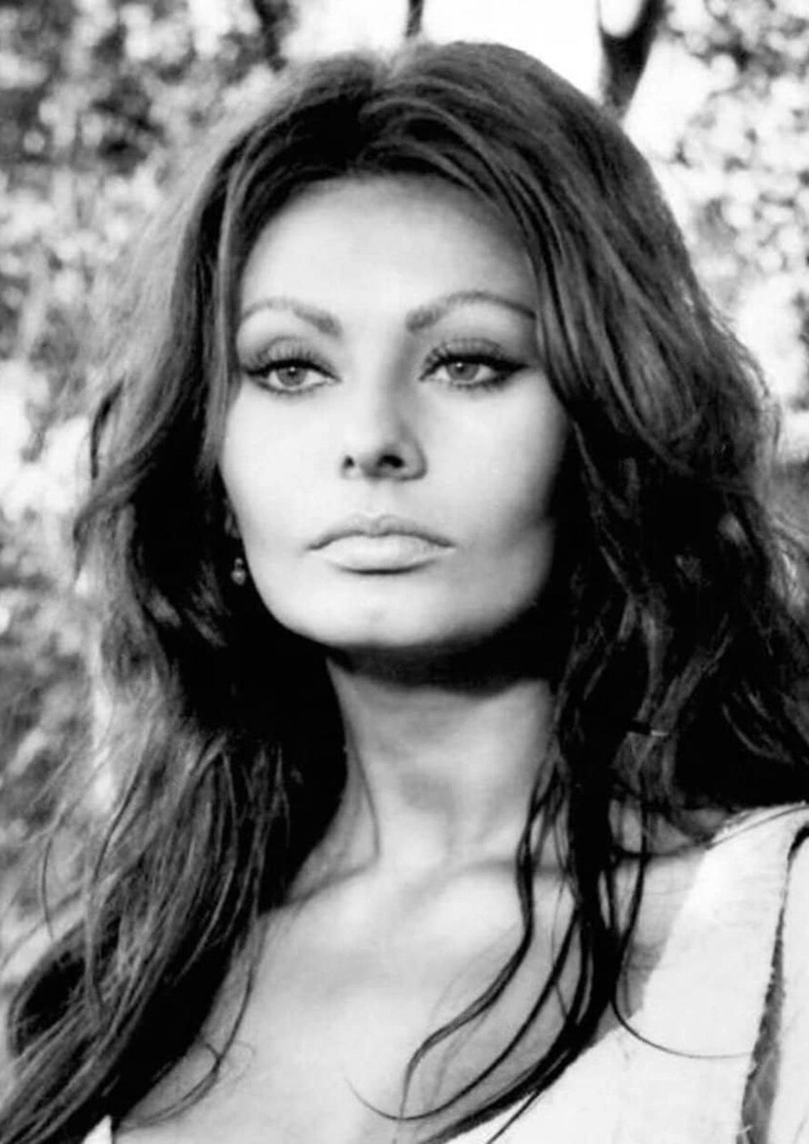 Sophia Loren Monochrome Photo Print 39 A4 Size 210 X 297mm Etsy