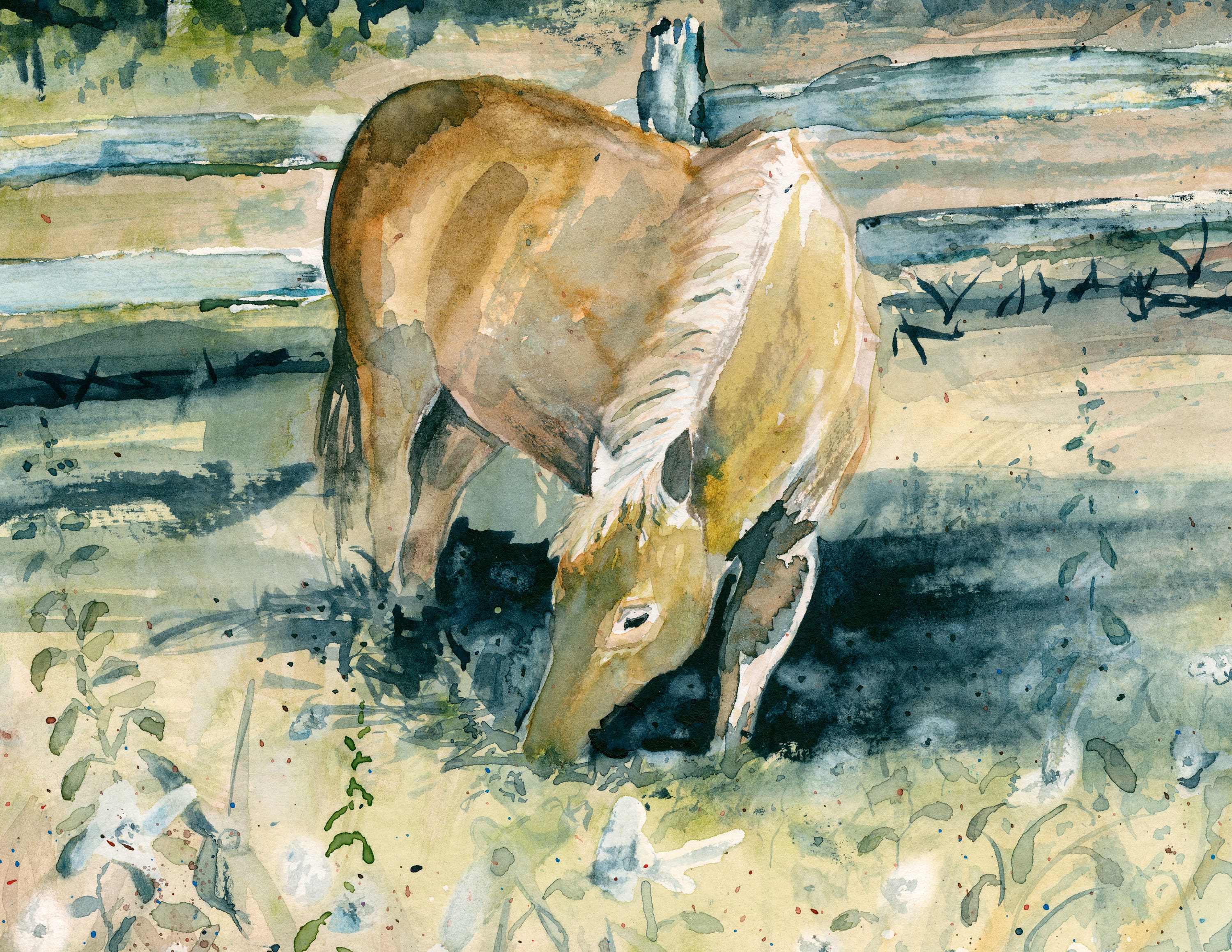 Pasture of Peace: Pony Watercolor Art Print - Etsy