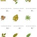 35 Leaf Machine Embroidery Designs, Floral Embroidery, Embroidery ...