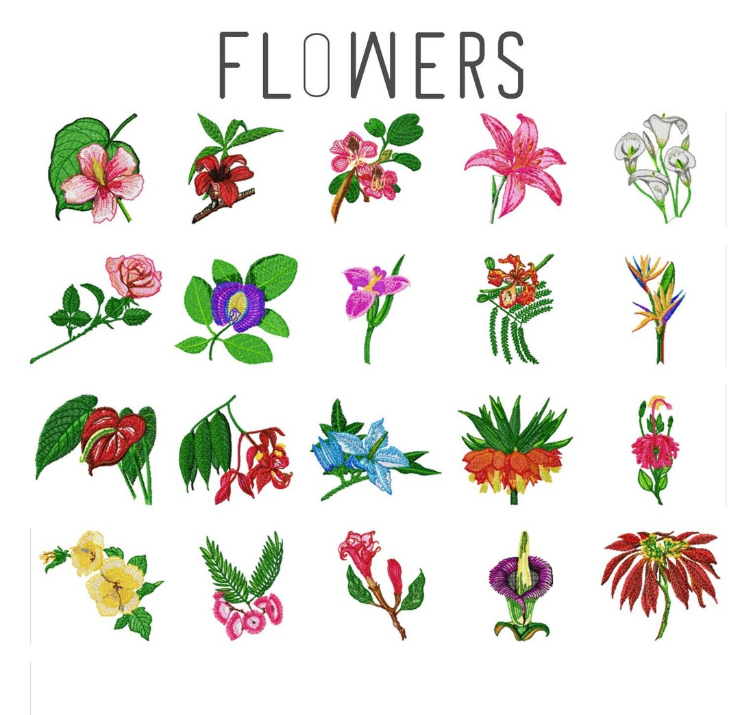 20 Flower Machine Embroidery Designs, Floral Embroidery Pattern ...