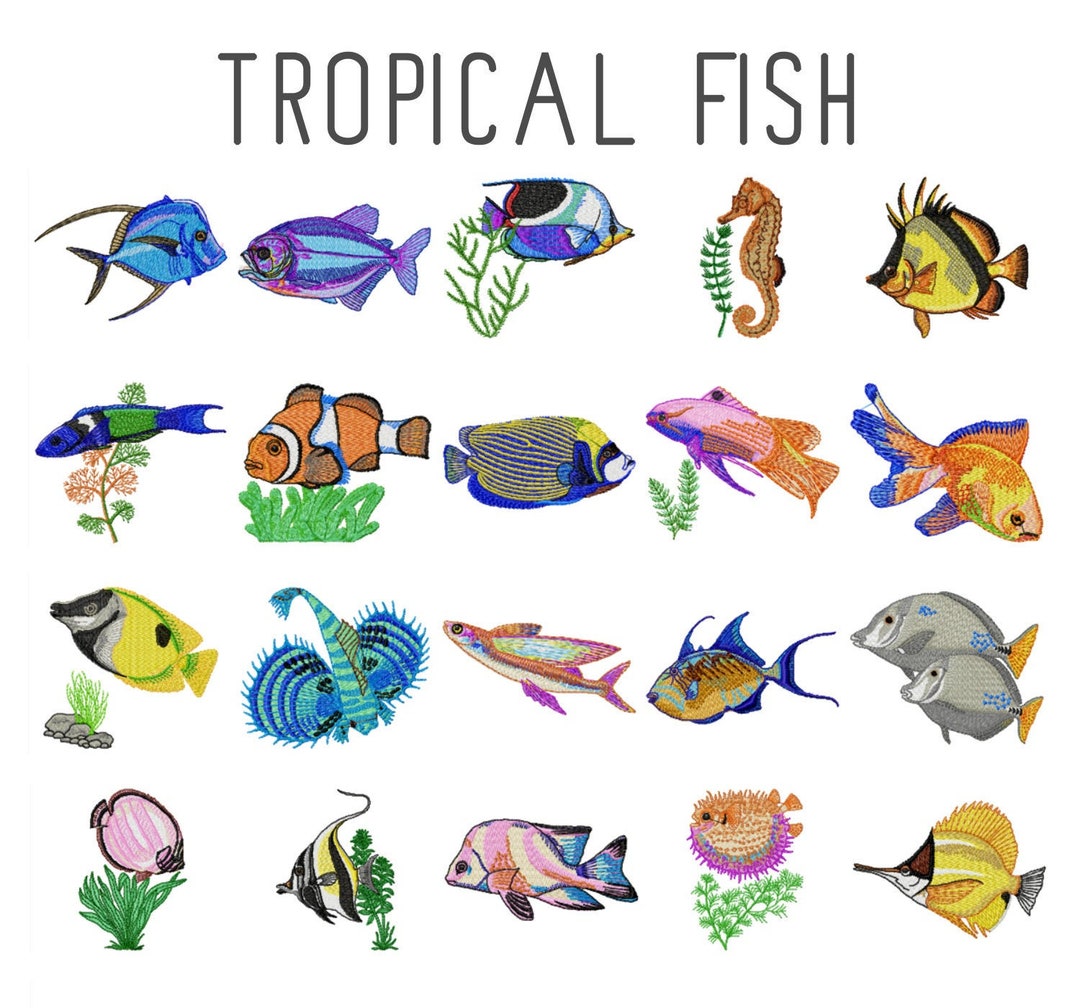 20 Tropical Fish Machine Embroidery Designs, Fish Embroidery Pattern ...