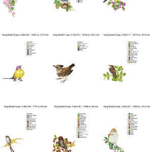 20 Song Birds Machine Embroidery Designs, Bird Embroidery Design ...