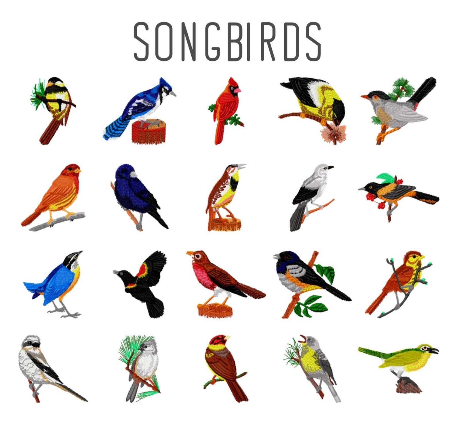 20 Song Birds Machine Embroidery Designs, Bird Embroidery Design ...