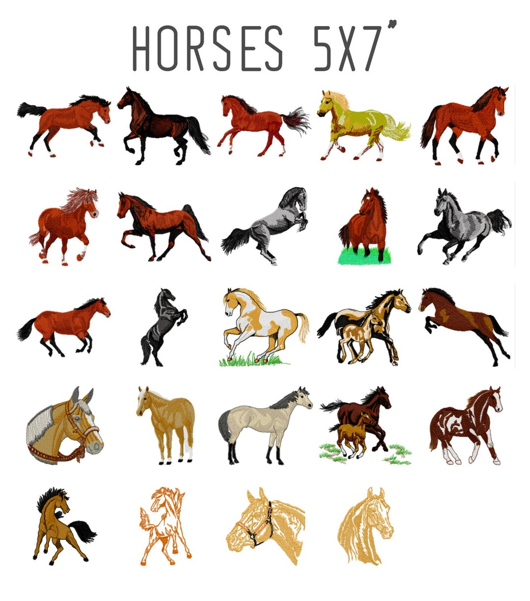 24 LARGE Horse Machine Embroidery Designs, Animal Embroidery Pattern ...