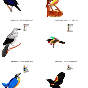 20 Songbirds Machine Embroidery Designs, Bird Embroidery Design ...