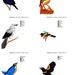 20 Songbirds Machine Embroidery Designs, Bird Embroidery Design ...