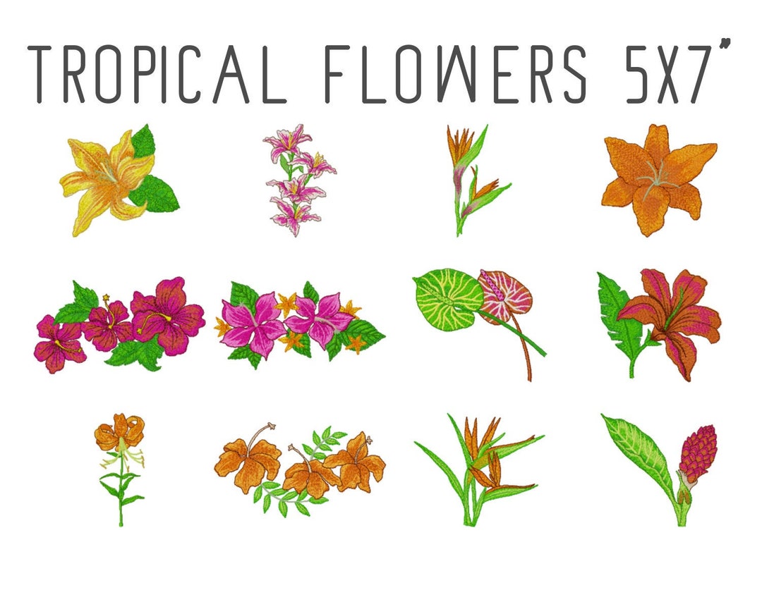 12 LARGE Tropical Flower Machine Embroidery Designs, Floral Embroidery ...