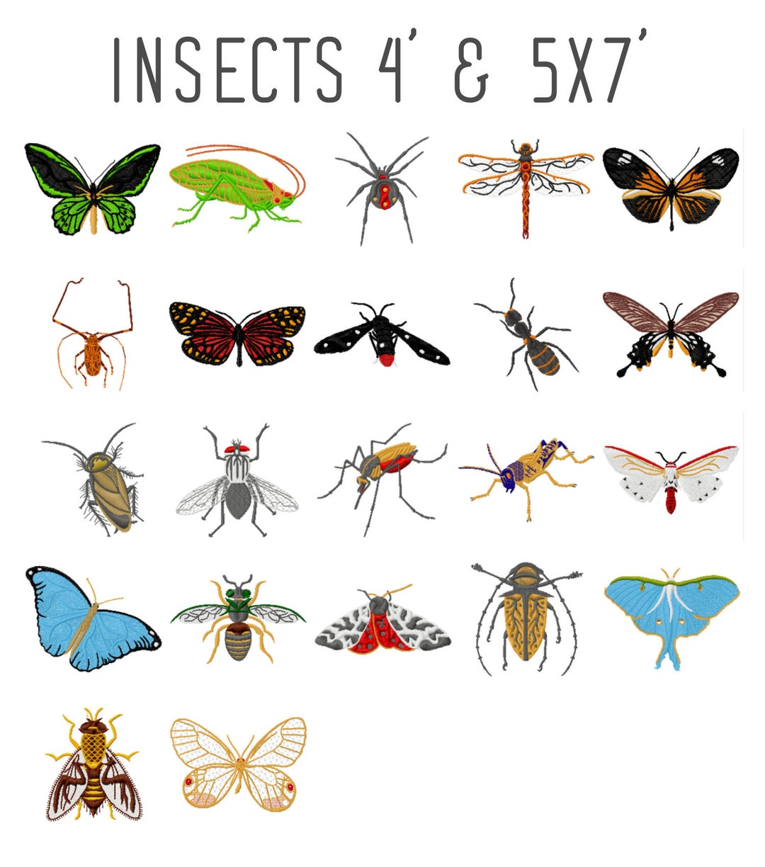 22 Insects Machine Embroidery Designs, Animal Embroidery Pattern ...