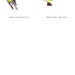 20 Song Birds Machine Embroidery Designs, Bird Embroidery Design ...