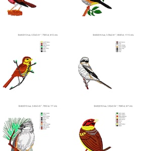 20 Song Birds Machine Embroidery Designs, Bird Embroidery Design ...