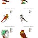 20 Songbirds Machine Embroidery Designs, Bird Embroidery Design ...