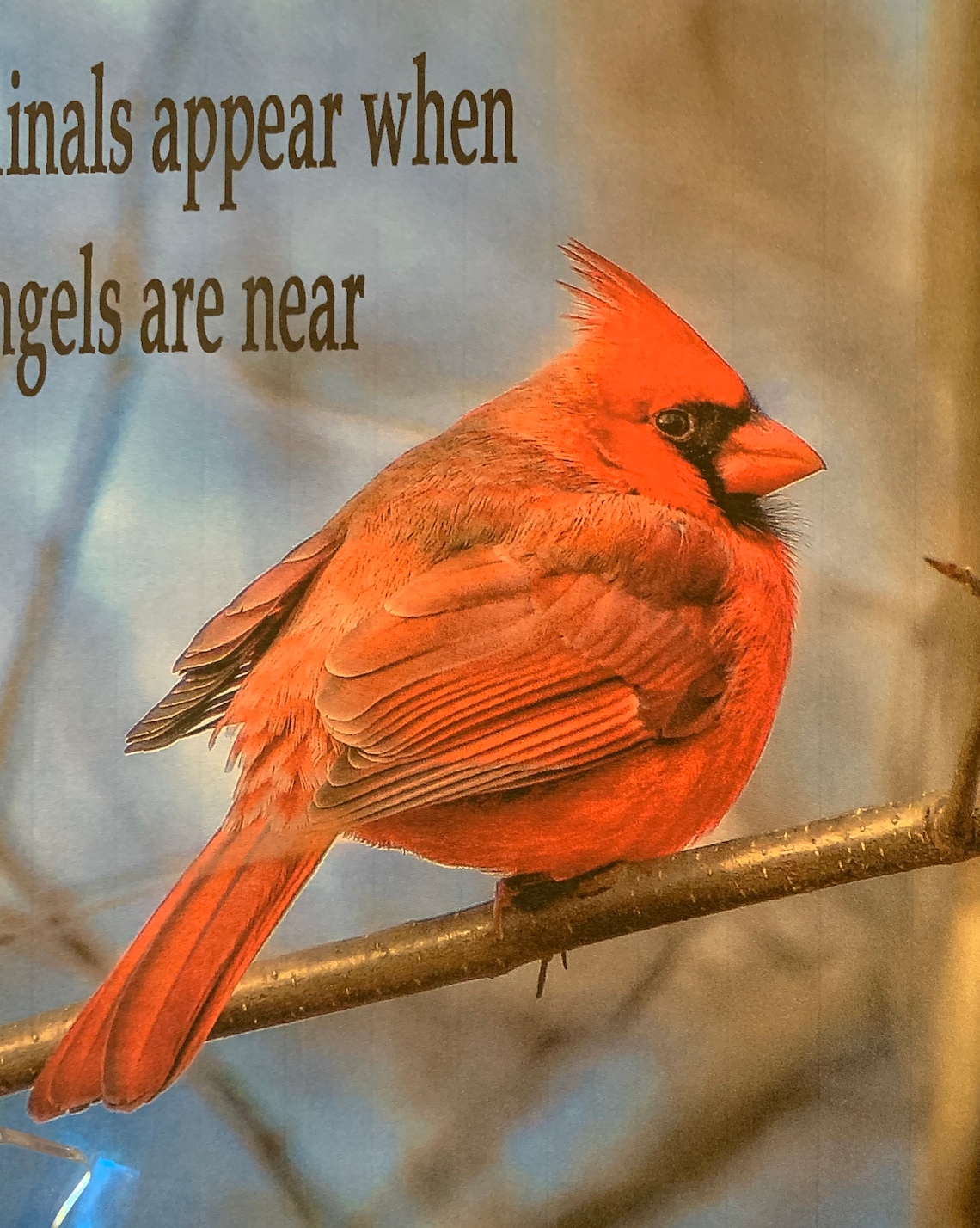 Cardinal sign | Etsy