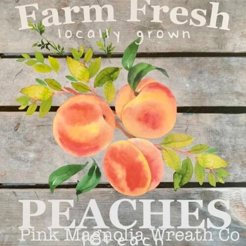 8 Round Peaches Sign Wreath Signs Home Signs - Etsy