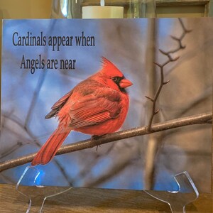 Cardinal sign | Etsy