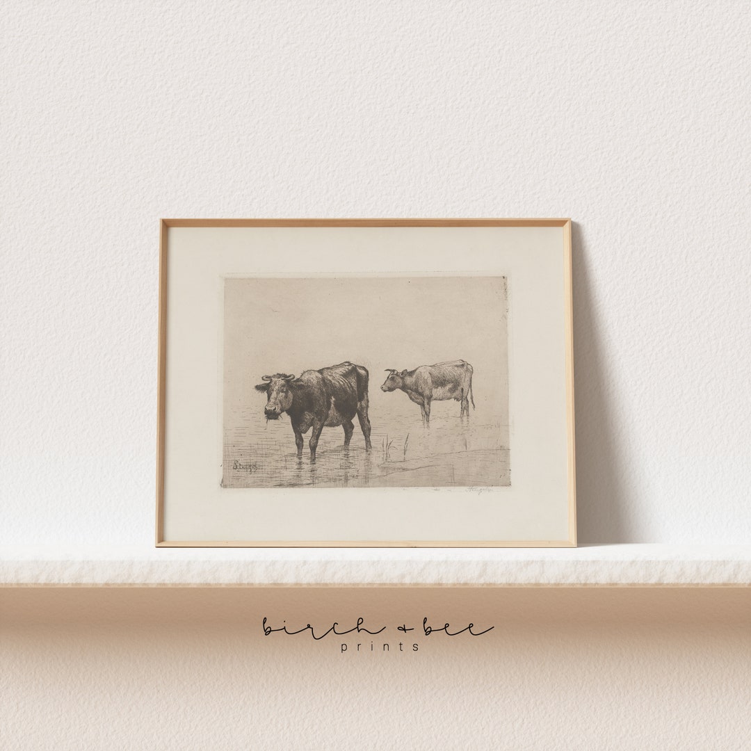 Vintage Cow Drawing | Cattle Sketch | Antique Farmhouse Wall Art ...