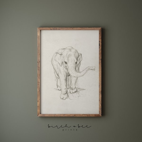 Elephant Drawing - Etsy