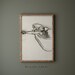 Bathing Woman Drawing| Bathroom Decor | Vintage Sketch Art Printable ...