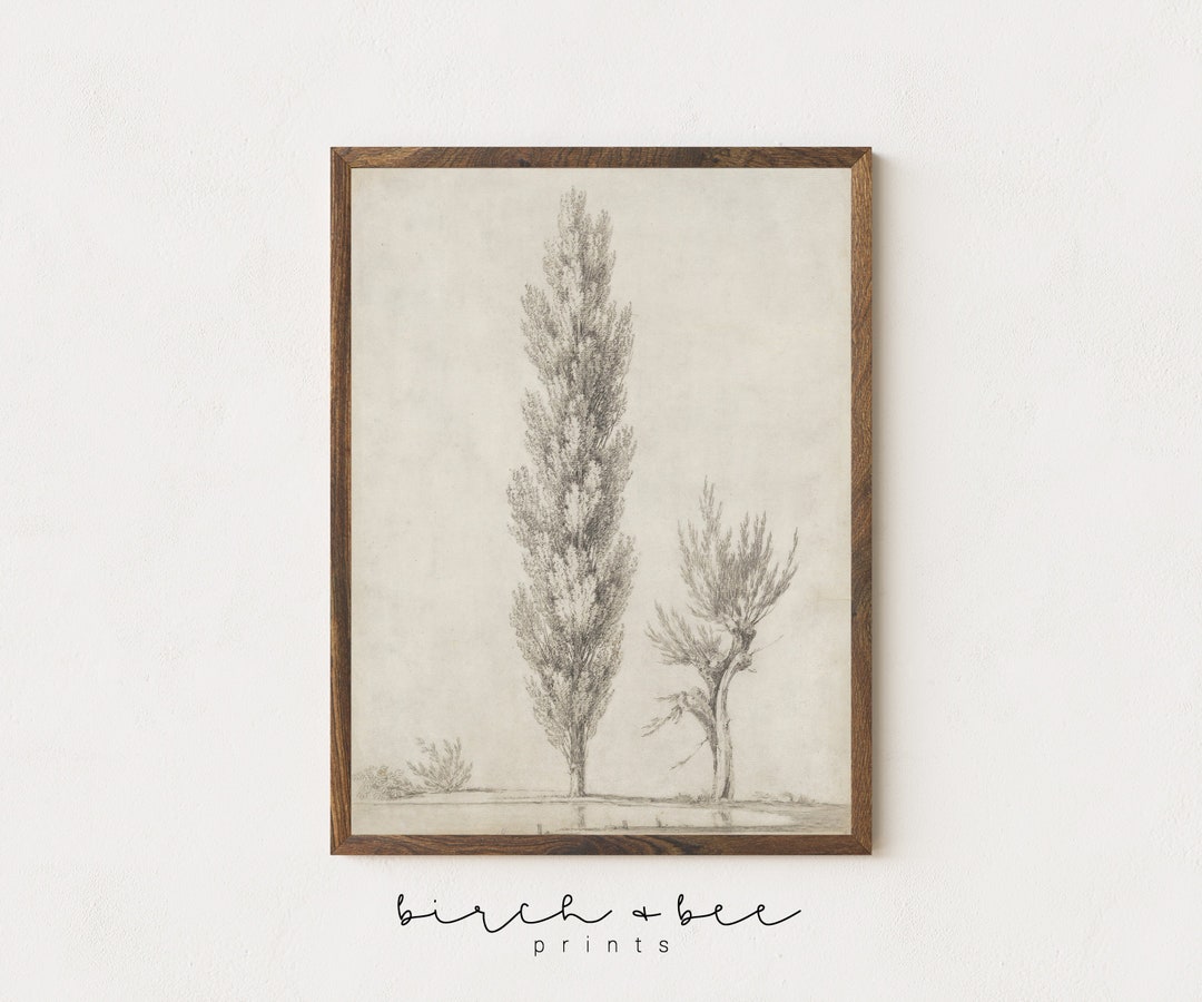 Vintage Tree Sketch | Poplar Tree Drawing Printable | Minimalist ...