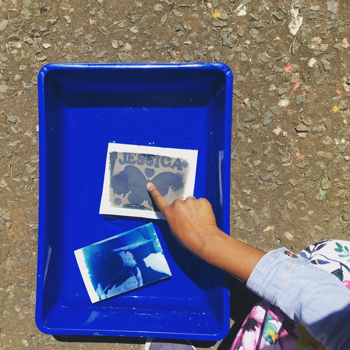 Cyanotype Craft Kit for Kids & Adults~ FREE POSTAGE A6 Paper ~ Diy Sun ...