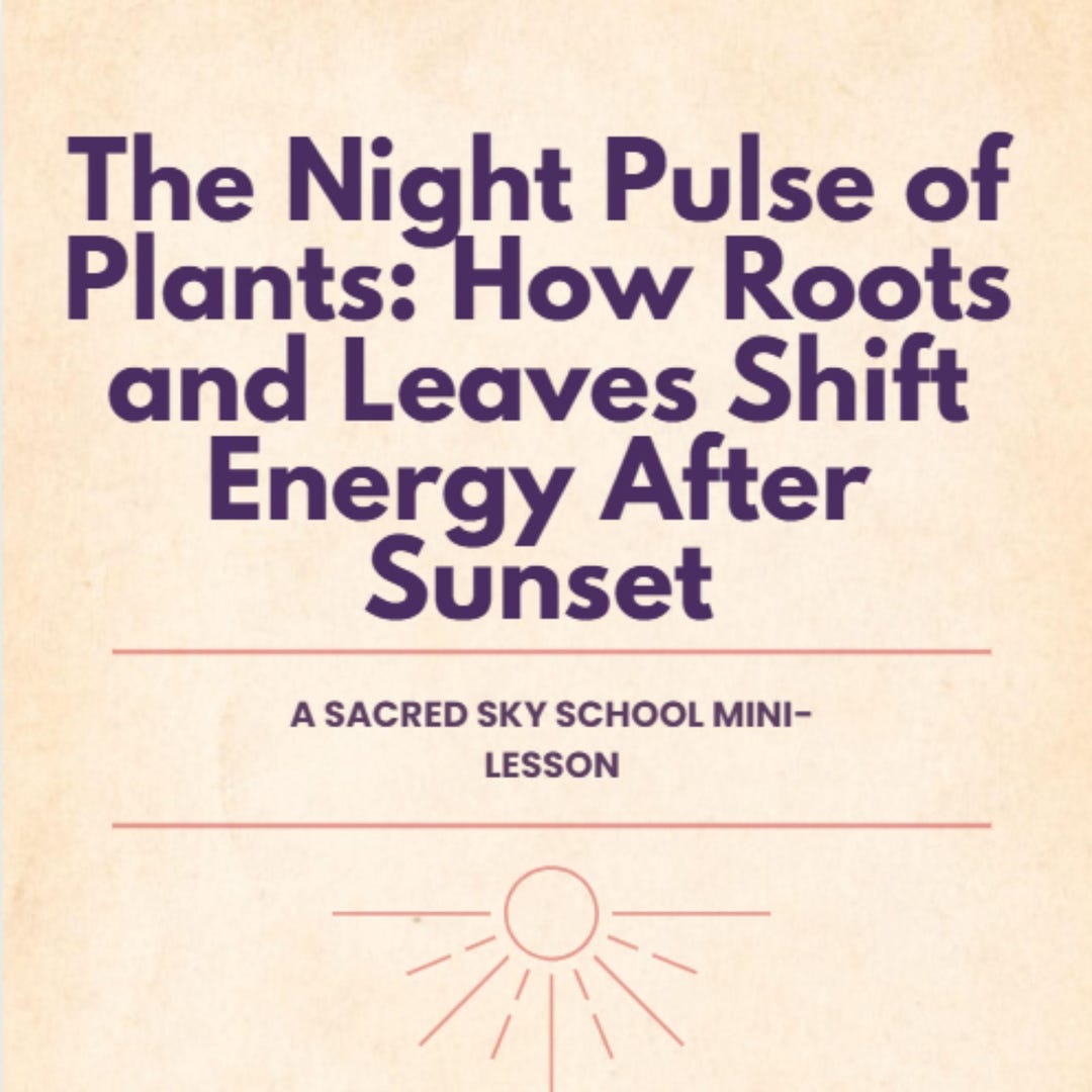 Mini Lesson 297 — the Night Pulse of Plants: How Roots and Leaves Shift ...
