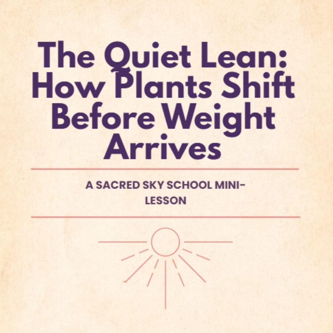 Mini Lesson 353 — the Quiet Lean: How Plants Shift Before Weight ...