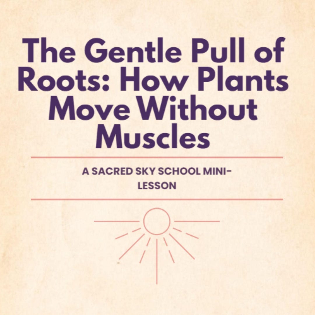 Mini Lesson 290 — the Gentle Pull of Roots: How Plants Move Without ...