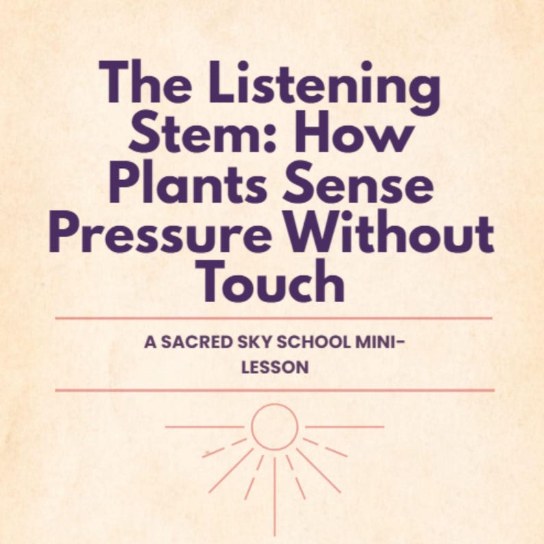 Mini Lesson 353 — the Listening Stem: How Plants Sense Pressure Without ...