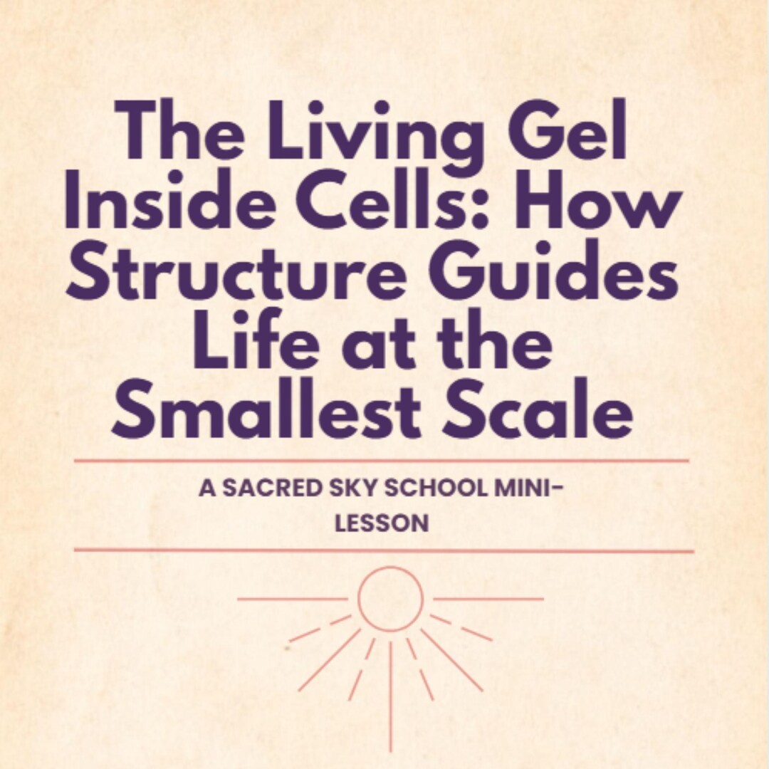 Mini Lesson 261 — the Living Gel Inside Cells: How Structure Guides ...