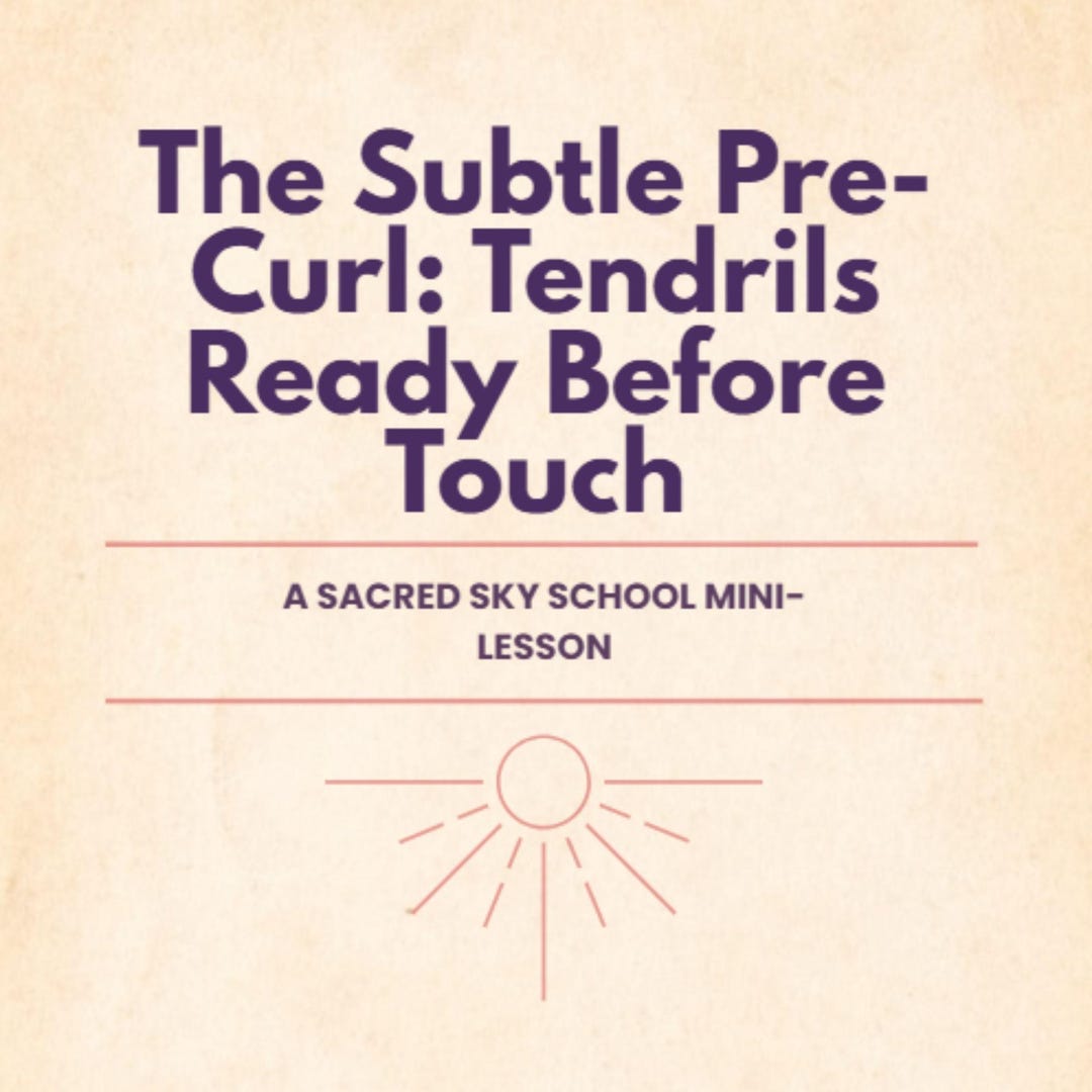 Mini Lesson 354 — the Subtle Pre-curl: Tendrils Ready Before Touch - Etsy
