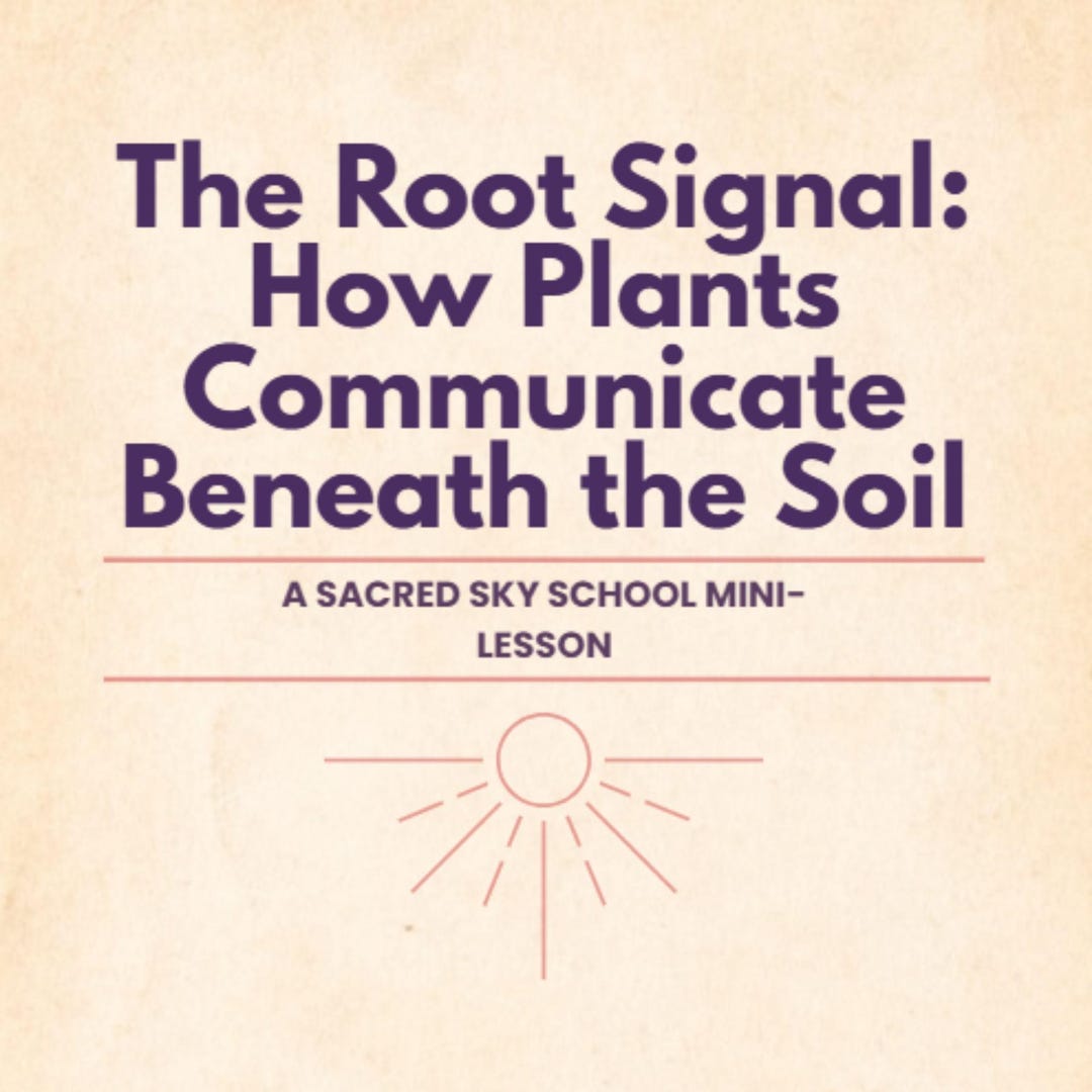 Mini Lesson 217 — the Root Signal: How Plants Communicate Beneath the ...