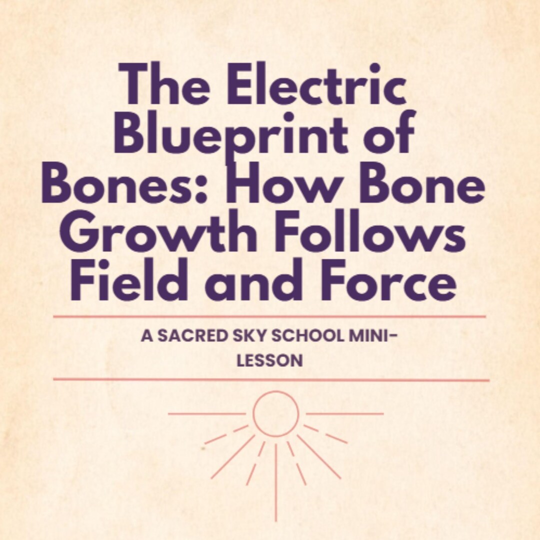 Mini Lesson 262 — the Electric Blueprint of Bones: How Bone Growth ...