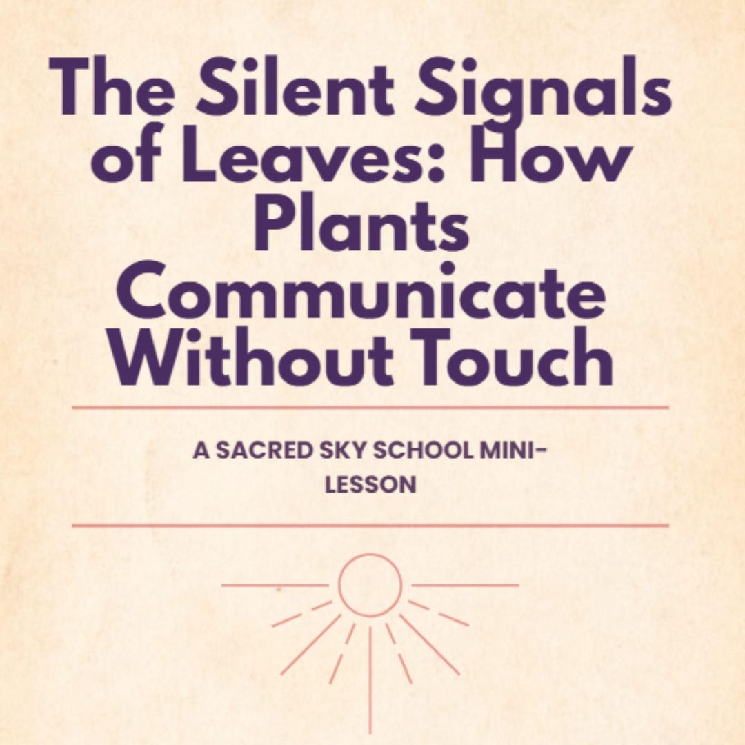 Mini Lesson 298 — the Silent Signals of Leaves: How Plants Communicate ...
