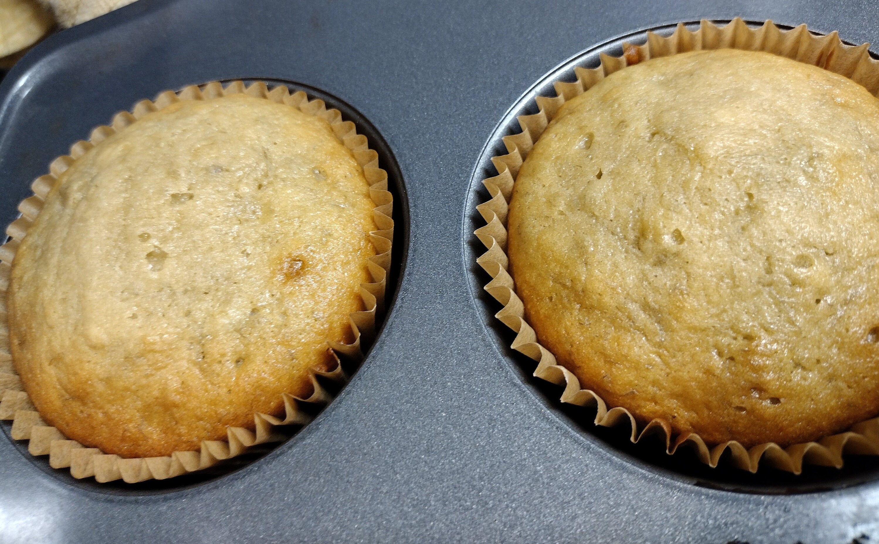 Half Dozen 6 PLAIN Banana Breakfast Large Snack Muffin Fresh Baked to ...