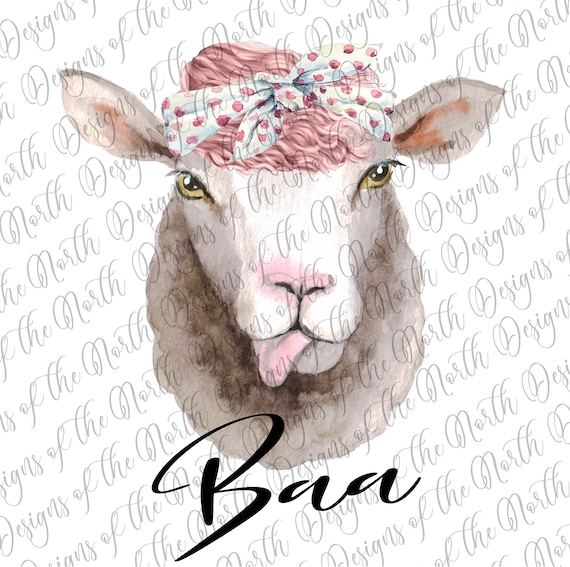 Sheep Baaaa