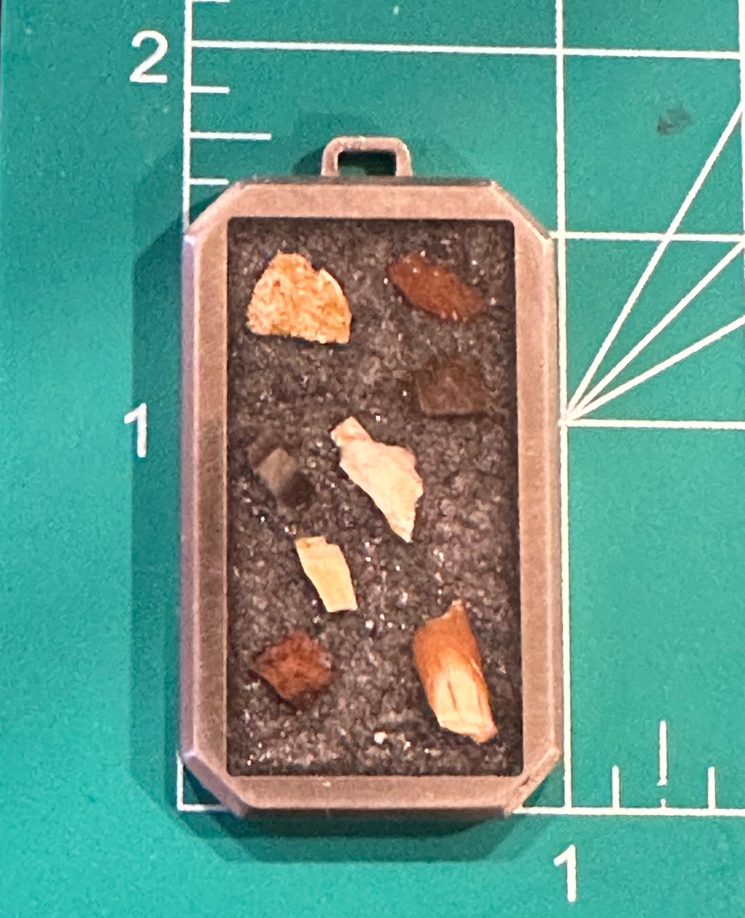 Jurassic Park Inspired Titanium Inlay Fossil Pendant - Etsy