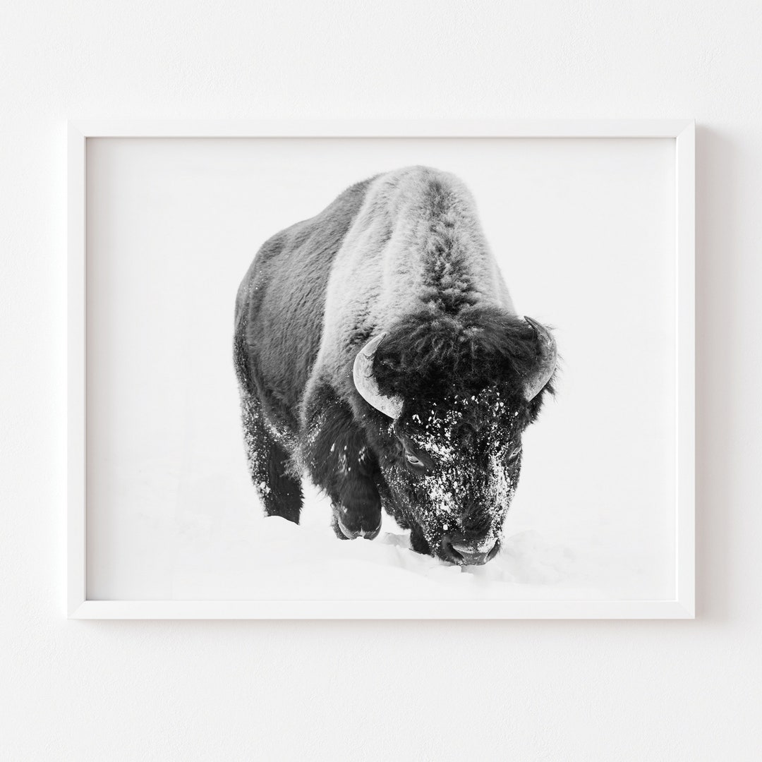 Druckbare Wandkunst, American Buffalo Print, Bison Fotografie, Americana, Southwestern Dekor ...