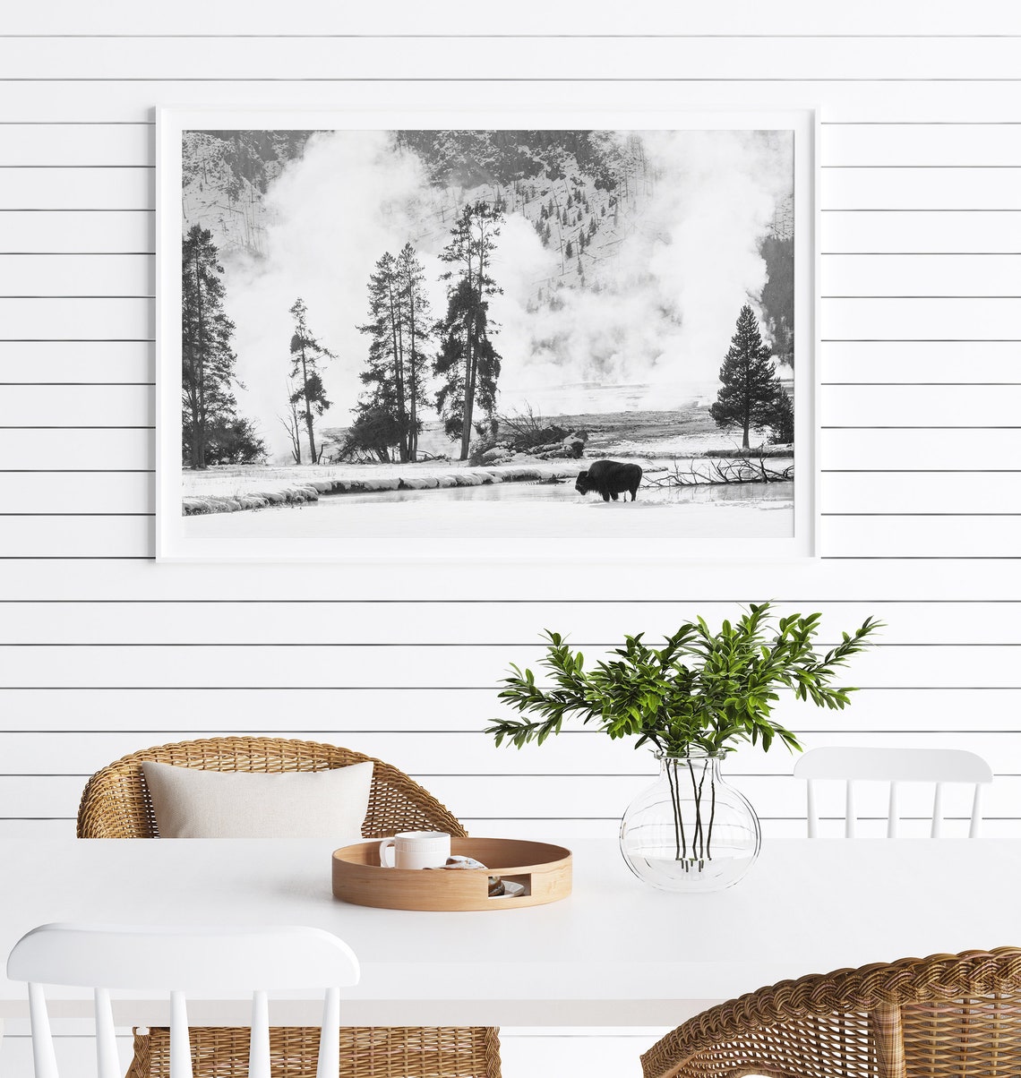 Printable Bison Wall Art Buffalo Print Western Prints - Etsy