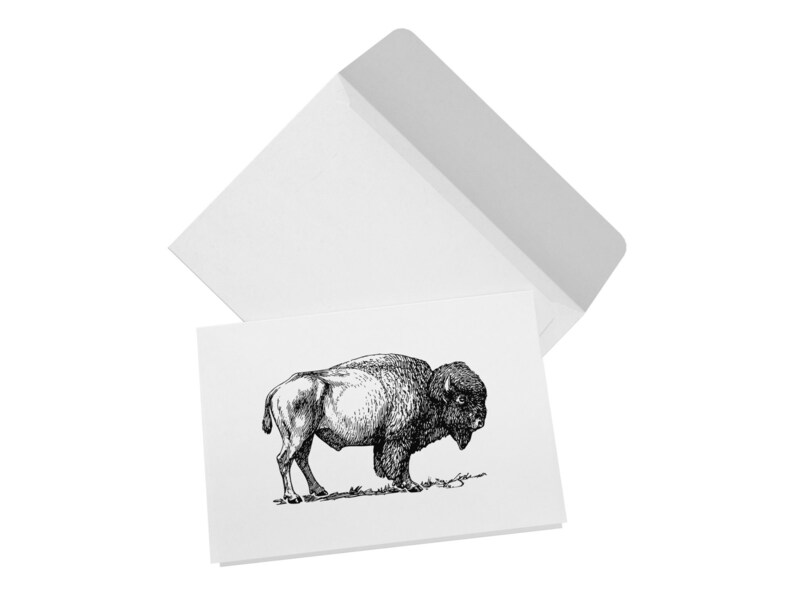 Buffalo Cards, Minimalist Bison Folded Note Cards, Set of 10 Blank Note ...
